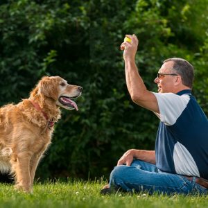 Shoulder Popping When Rotating? What's Normal (and What's Not ...