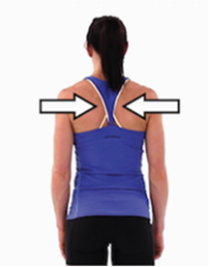 Rotator Cuff Stretches for Shoulder Injuries| Midwest Orthopedic ...